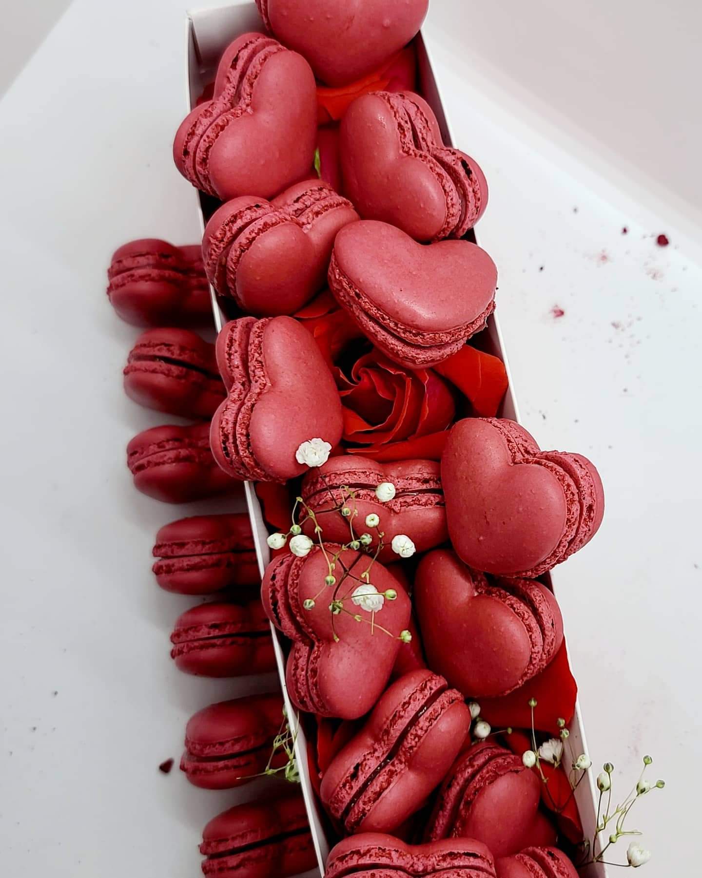 Délice Macarons